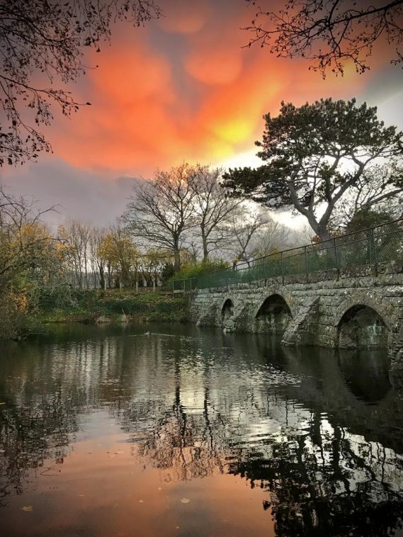 Gallery - Dunster Beach Holidays